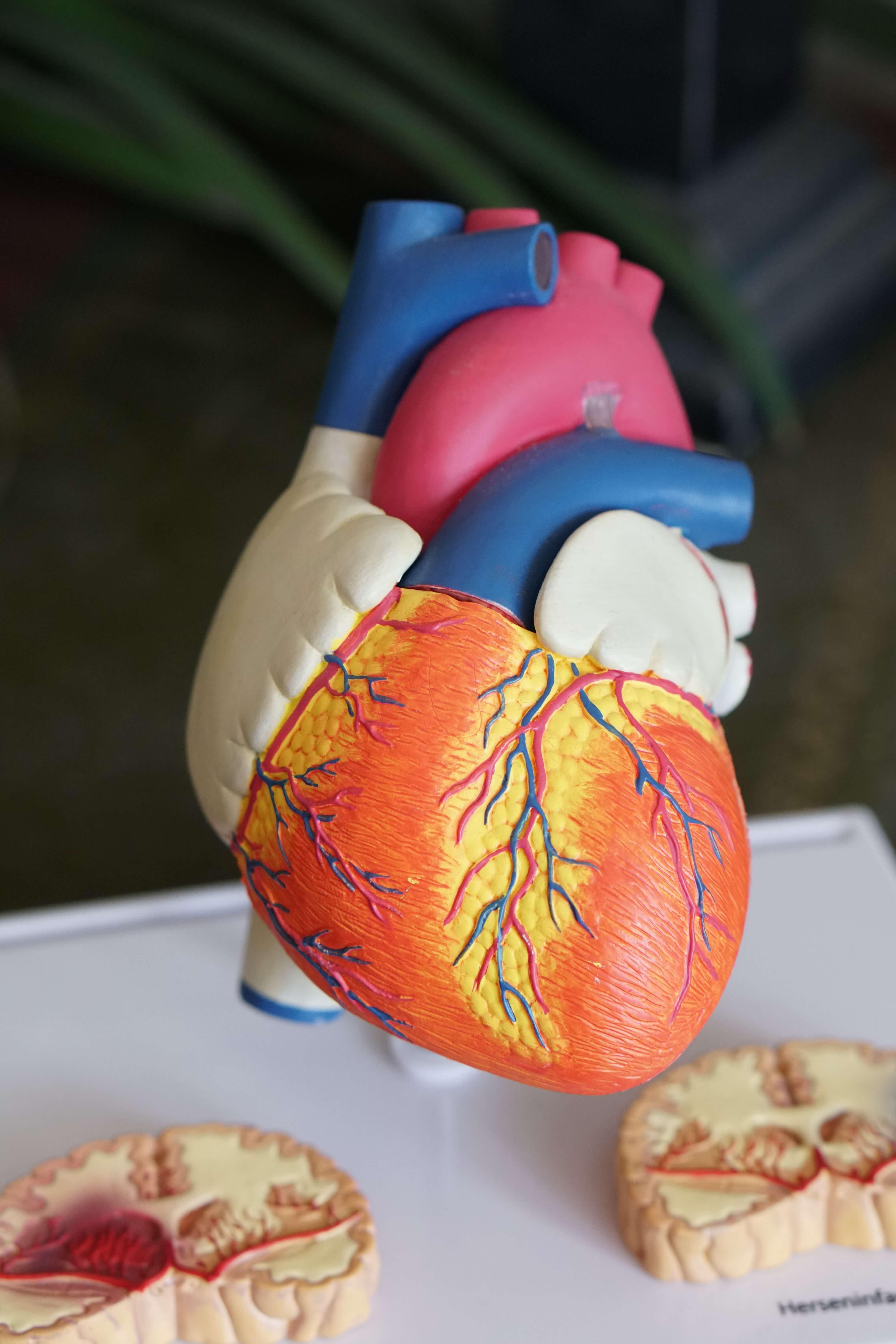 How To Determine What Heart Problems Qualify For Disability 